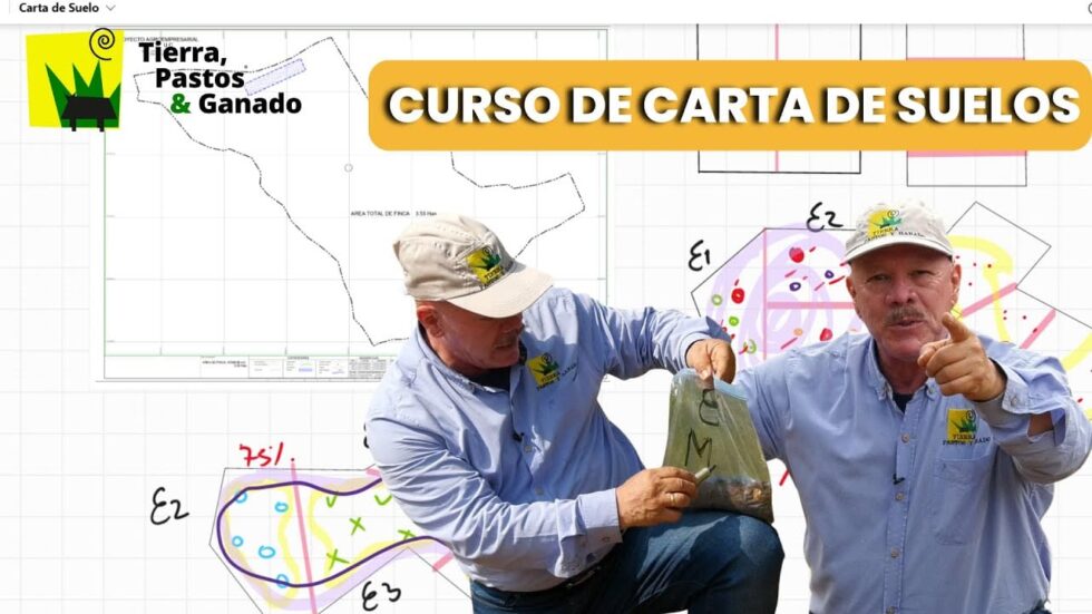 Conoce el Maiz Forrajero | Tierra Pastos & Ganado